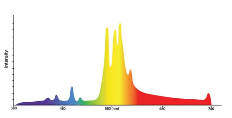 Light Spectrum For Flowering Plants [Super Simple] - Herbs Within
