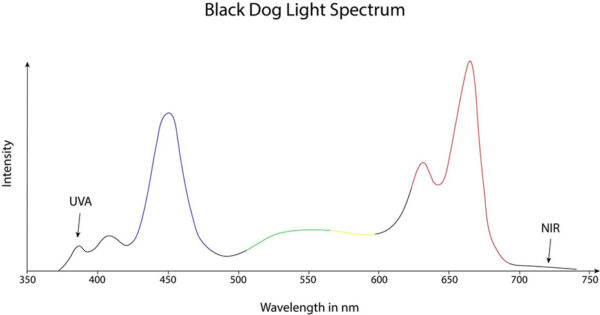 Black Dog LED Review [2024] - Herbs Within